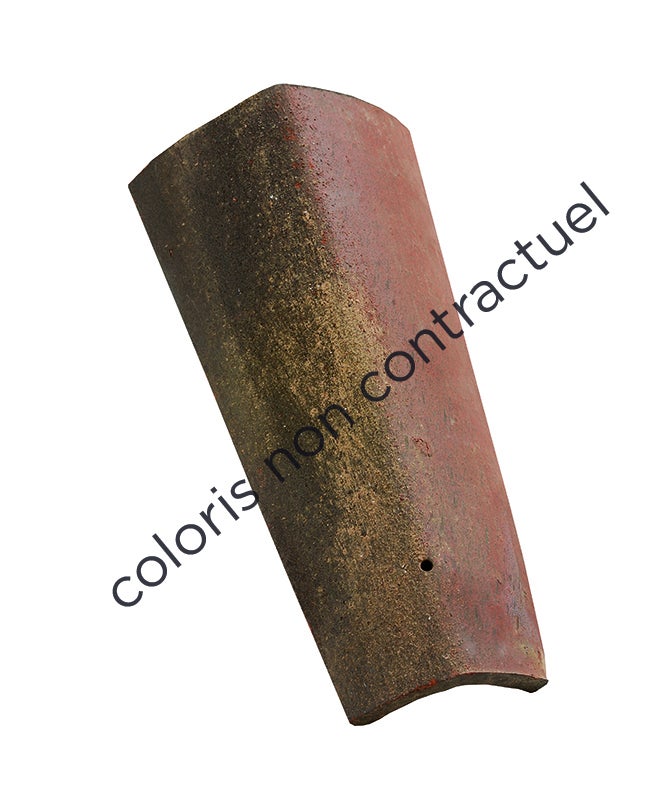 Tuile RESTAURATION 16X27 : Tuile d'EDILIANS